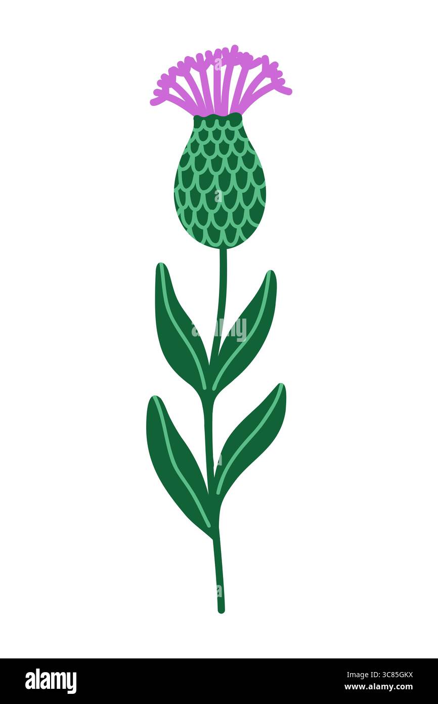 Hand Drawn Thistle Flower in Flat Vector Style Stock Vector Image & Art ...