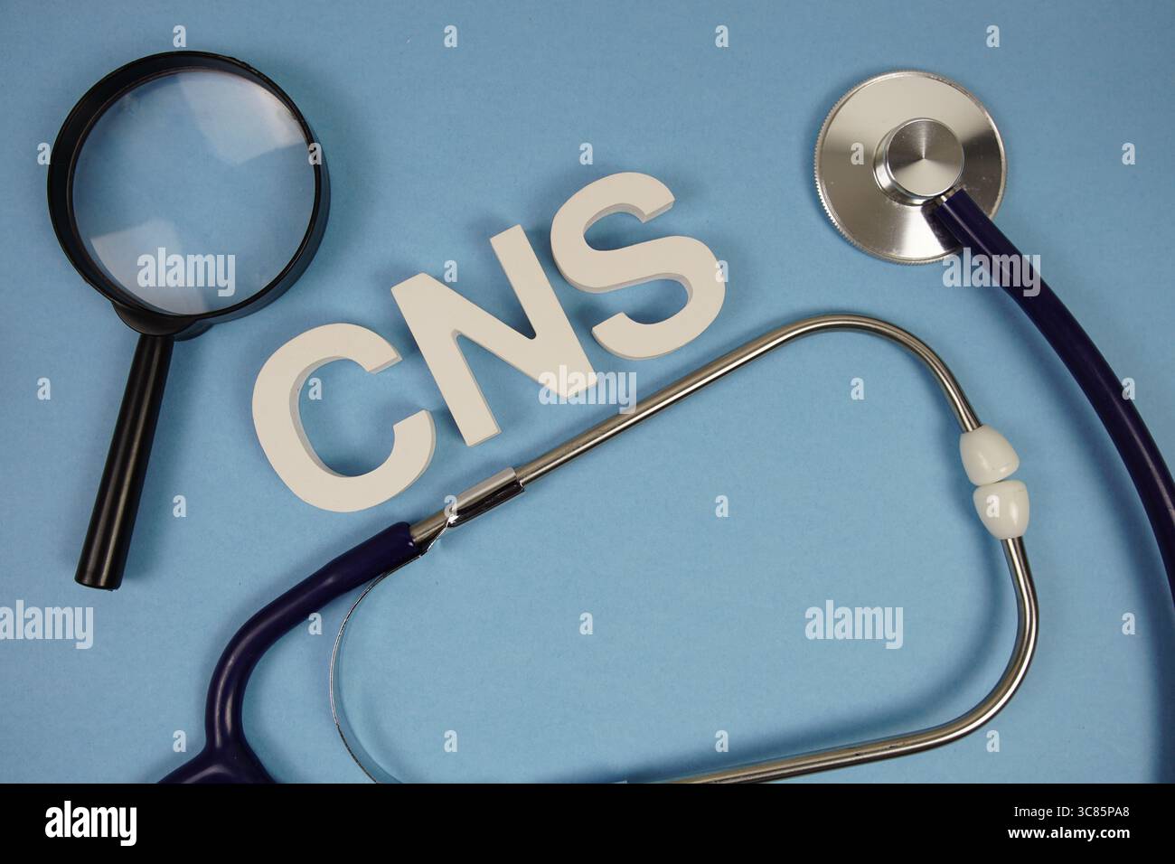 Nervous system diagram hi-res stock photography and images - Alamy