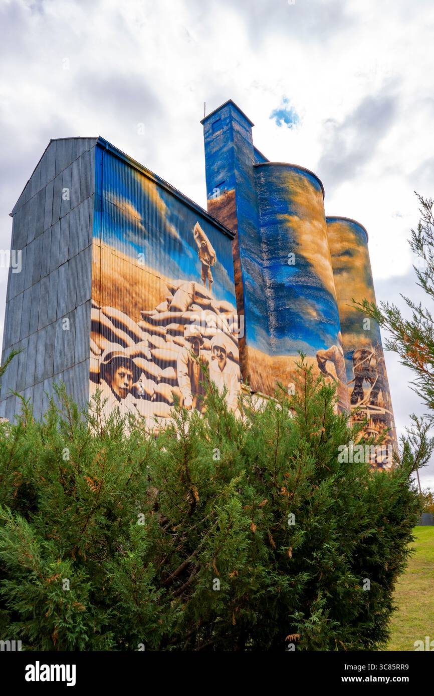 The Harden Murrumburrah silo painted by Melbourne based artist Heesco ...