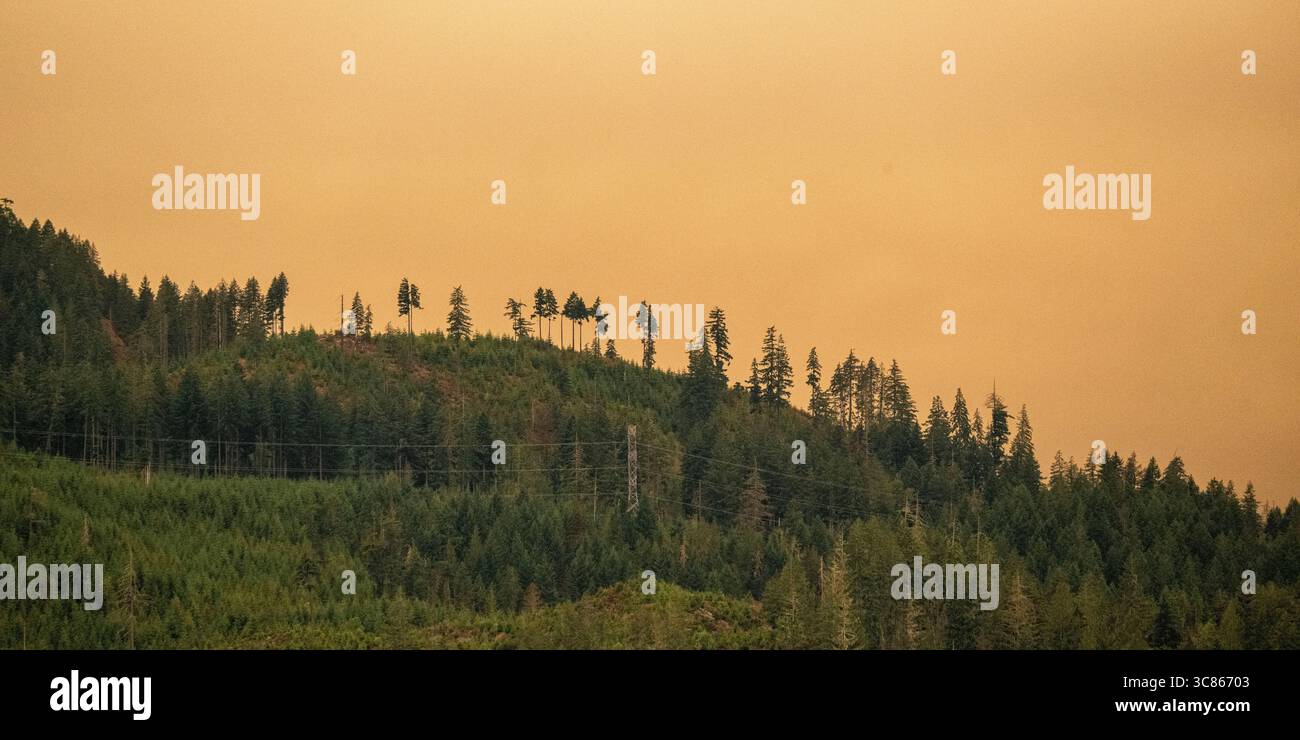 The Bear Gulch wildfire smoke as seen from Dewatto, WA ,on the Hood ...