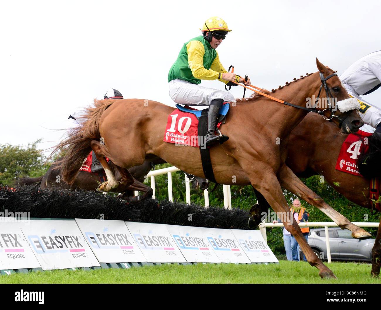 Aurea Fortuna ridden by Jake Coen on their way to winning the Adare ...