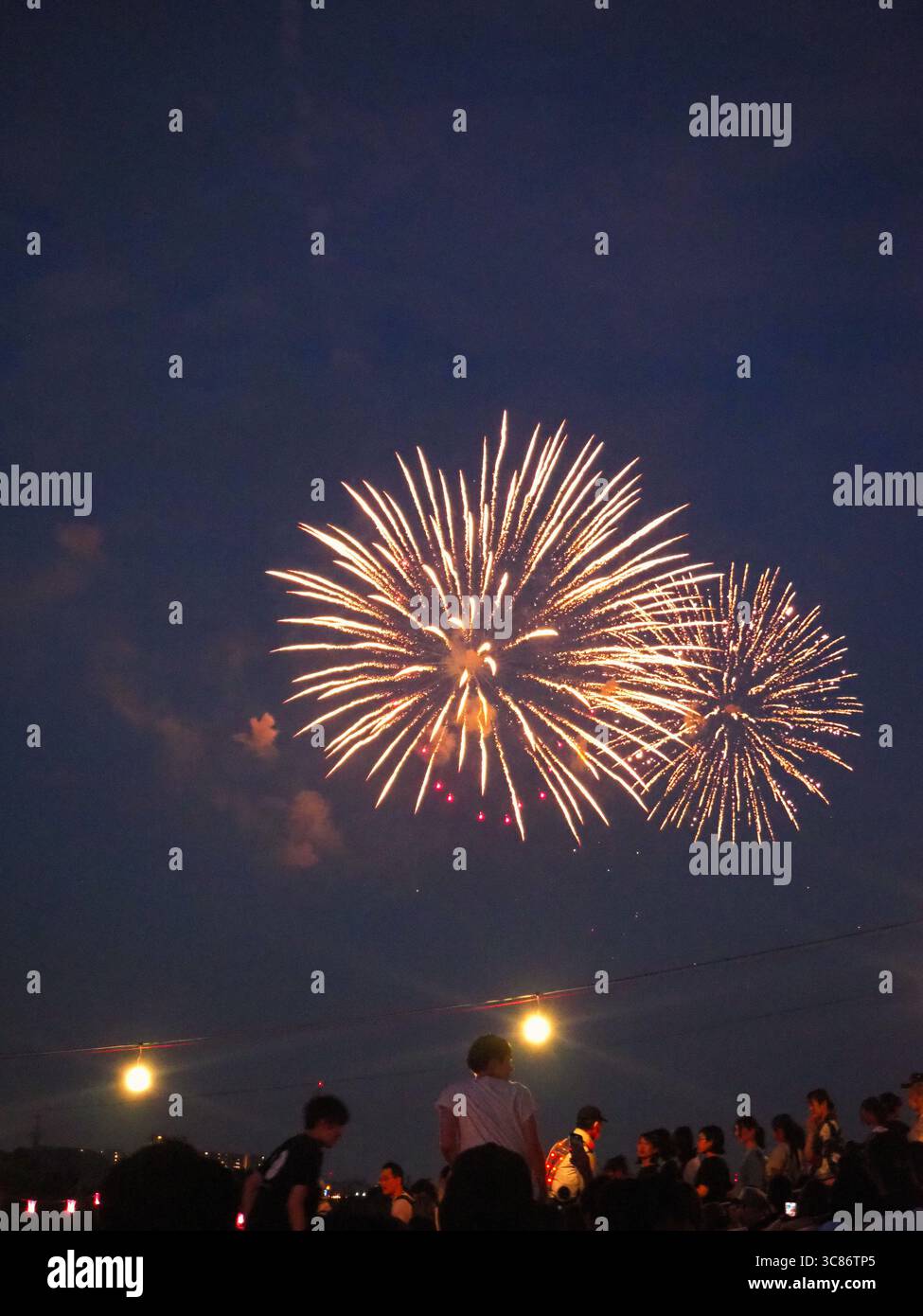 Golden fireworks illuminating the twilight sky above crowds at Tokyo’s ...