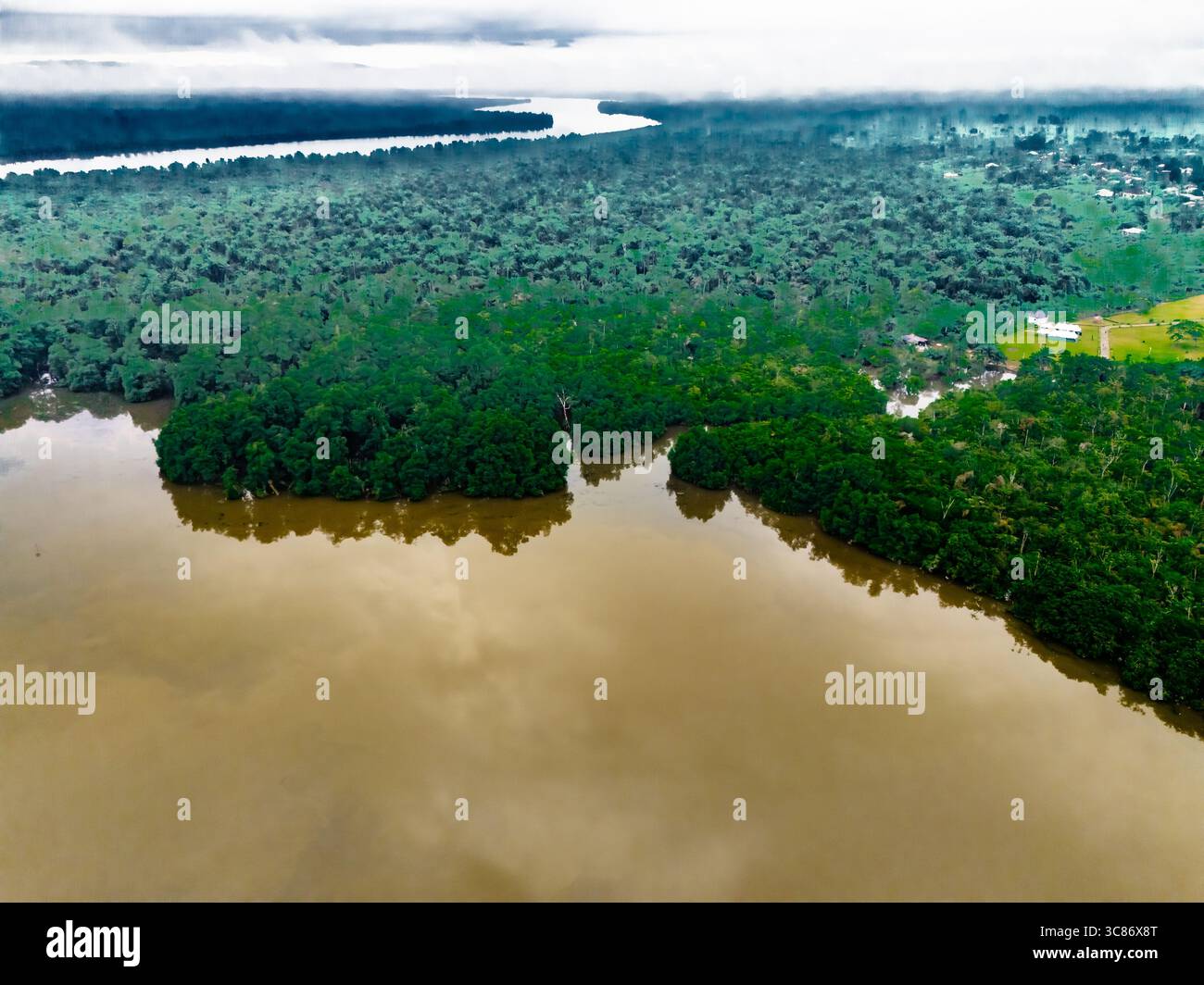 Aerial view of murky waters winding past a dense forest, the sky's ...