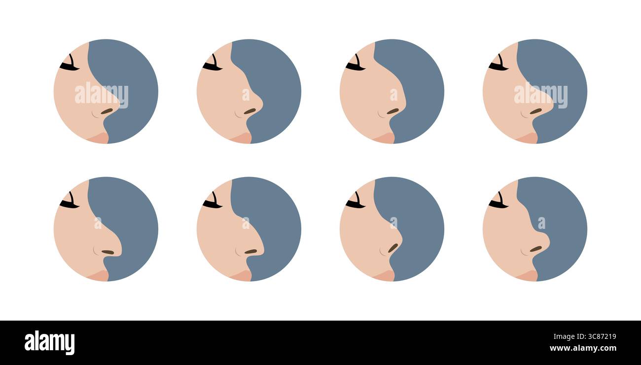 Featuring eight round icons displaying various nose shapes of women ...