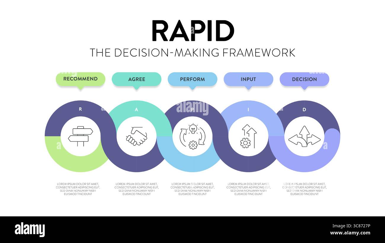 RAPID framework infographic diagram chart banner with icon vector for ...