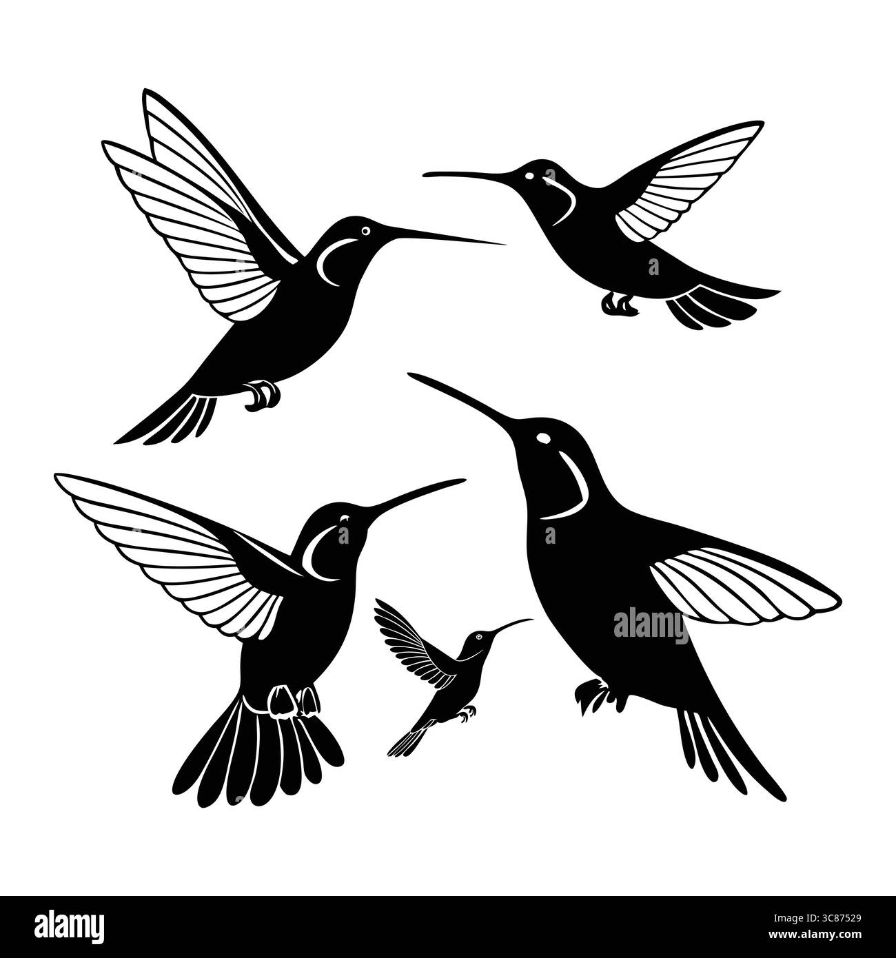 Silhouettes of Hummingbirds in Flight on a White Background Stock ...