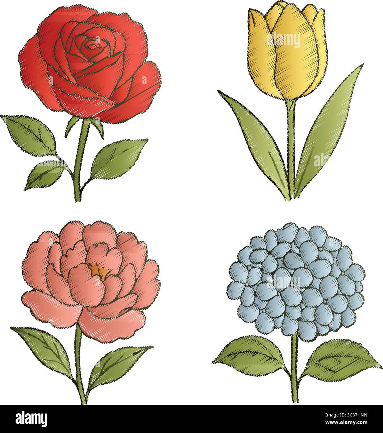 Yellow red peony botanical Stock Vector Images - Alamy