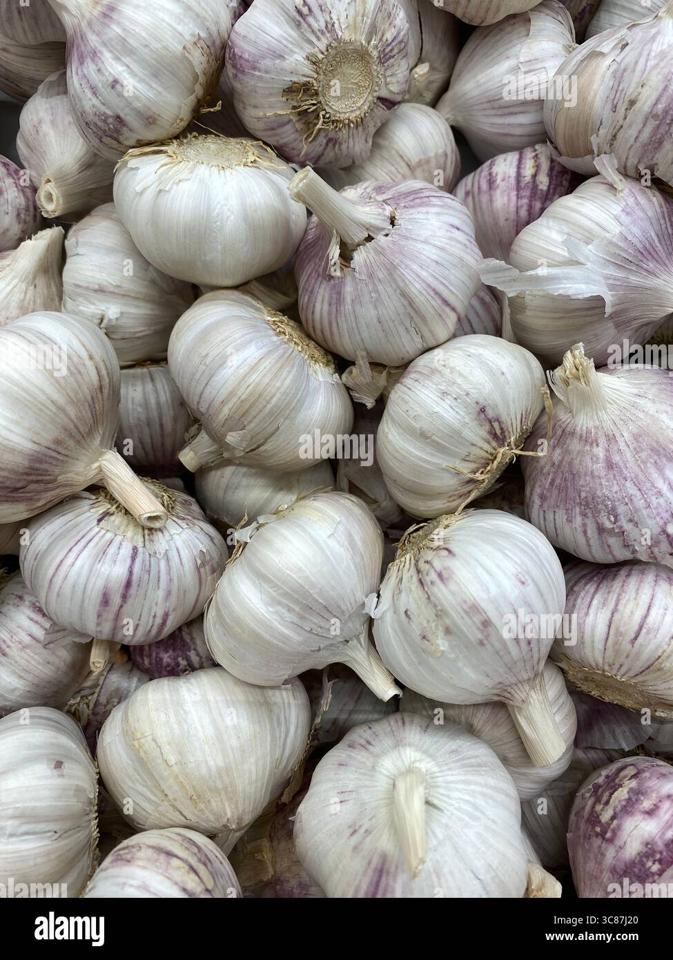 Garlic bulbs in a heap, showing natural textures and colors for food ...