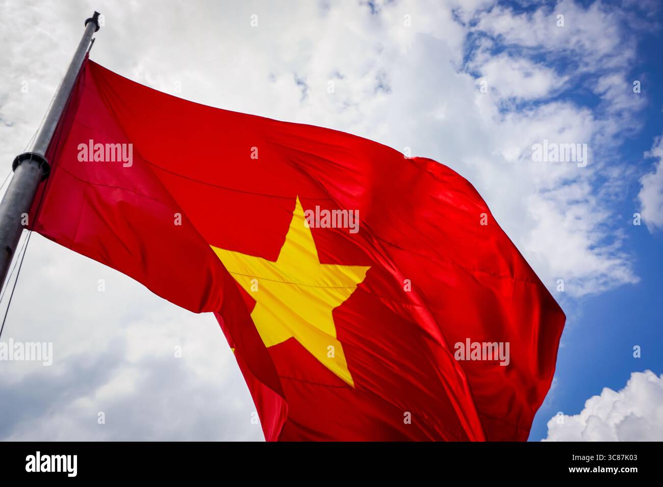 Vietnam flag official colors hi-res stock photography and images - Alamy
