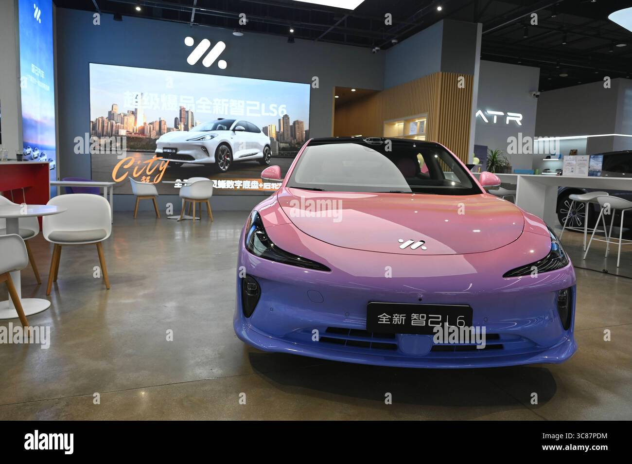 Shenzhen IM Motors electric vehicle shop A electric vehicle of China ...