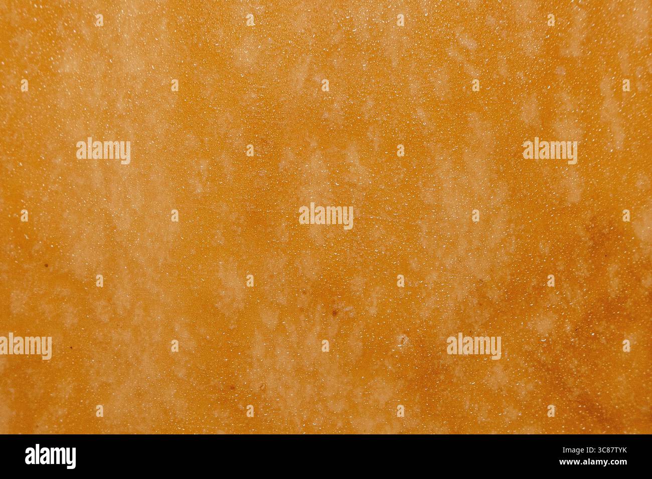 A close-up of a sliced pumpkin is illuminated with direct flash to ...