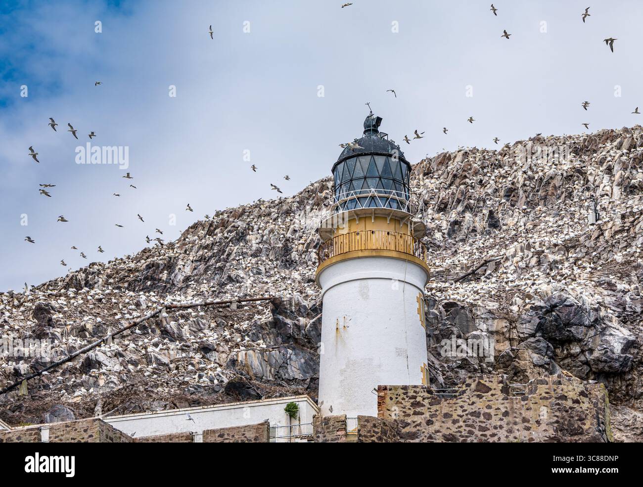 Gugas hi-res stock photography and images - Alamy