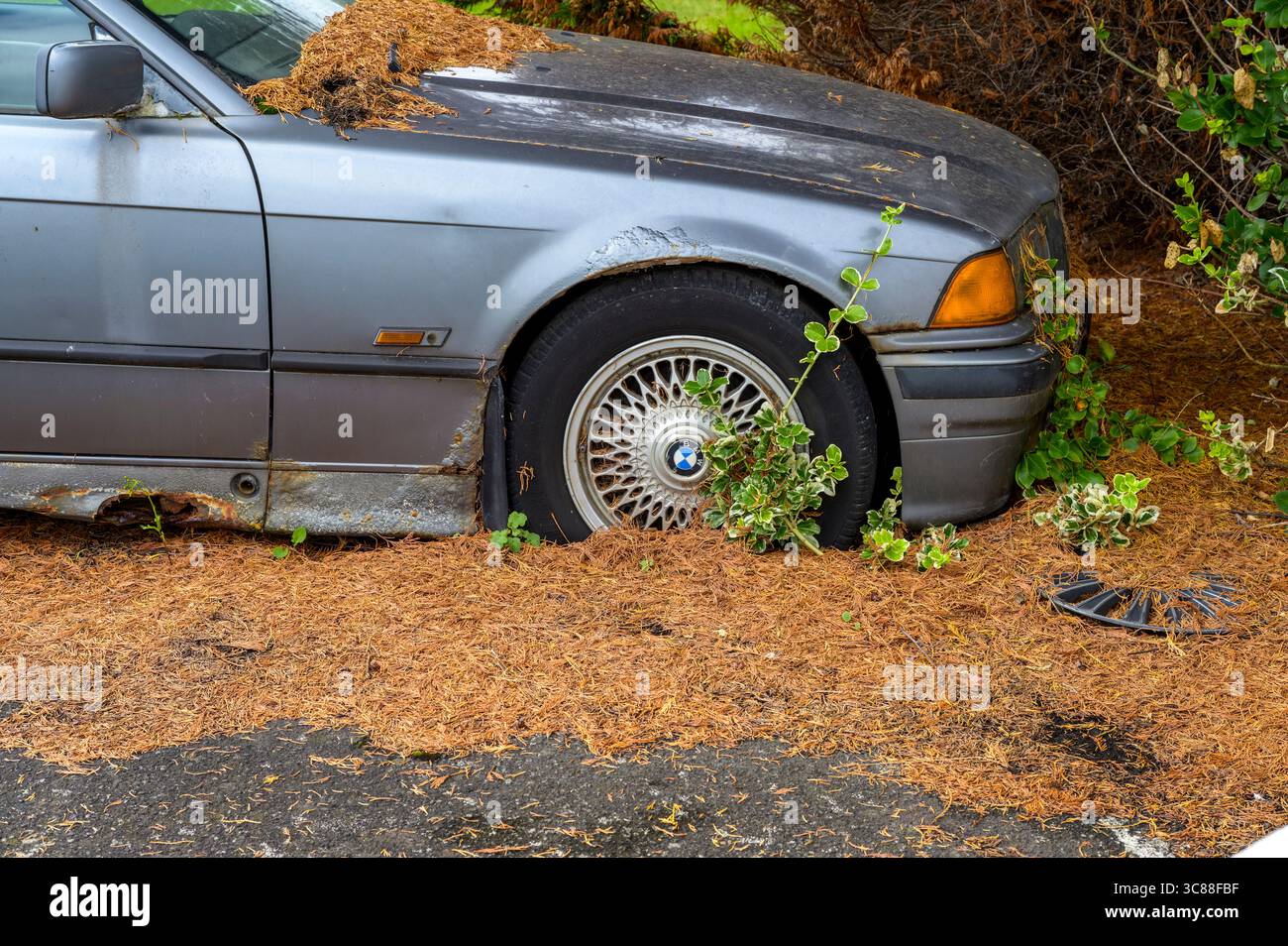 An old abandoned rusty BMW car, UK Stock Photo - Alamy