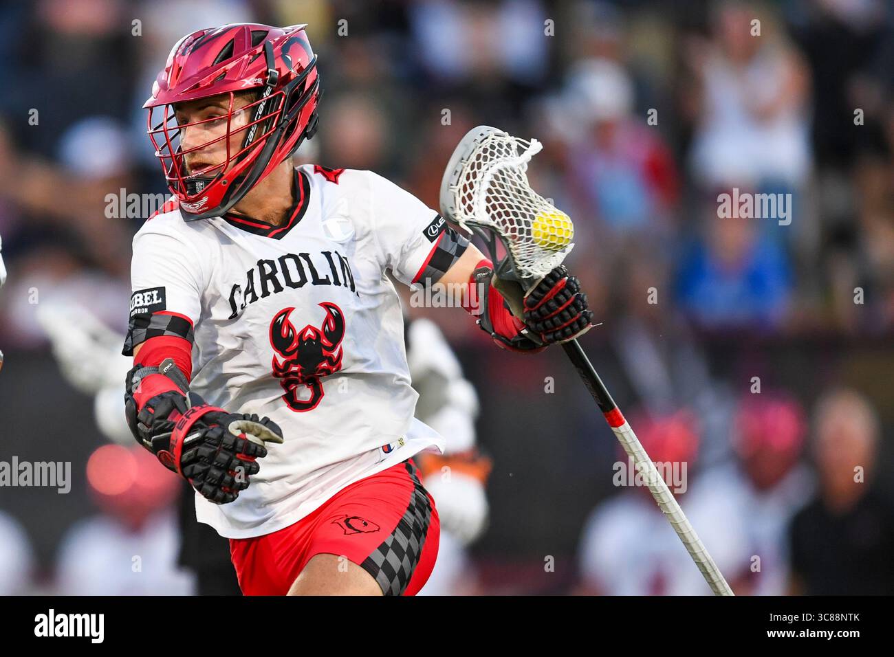 August 01, 2025: Carolina attacker, Ross Scott (15), in action during ...