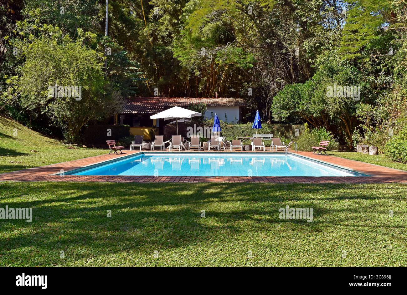 Swimming pool in a tropical landscape, Rio de Janeiro, Brazil Stock ...