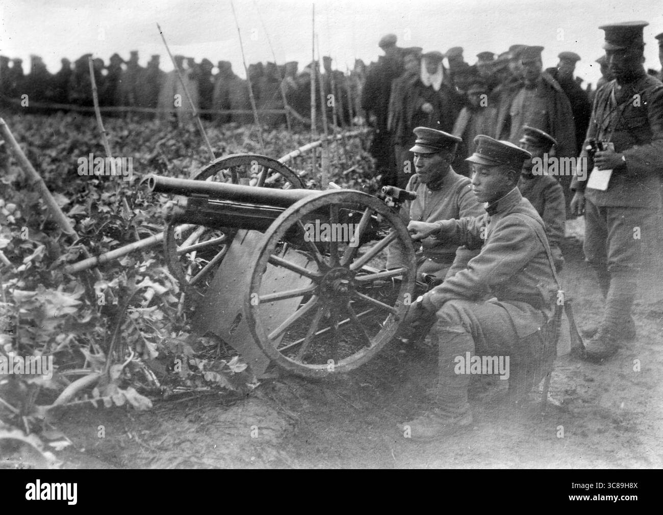 Field gun images Black and White Stock Photos & Images - Alamy