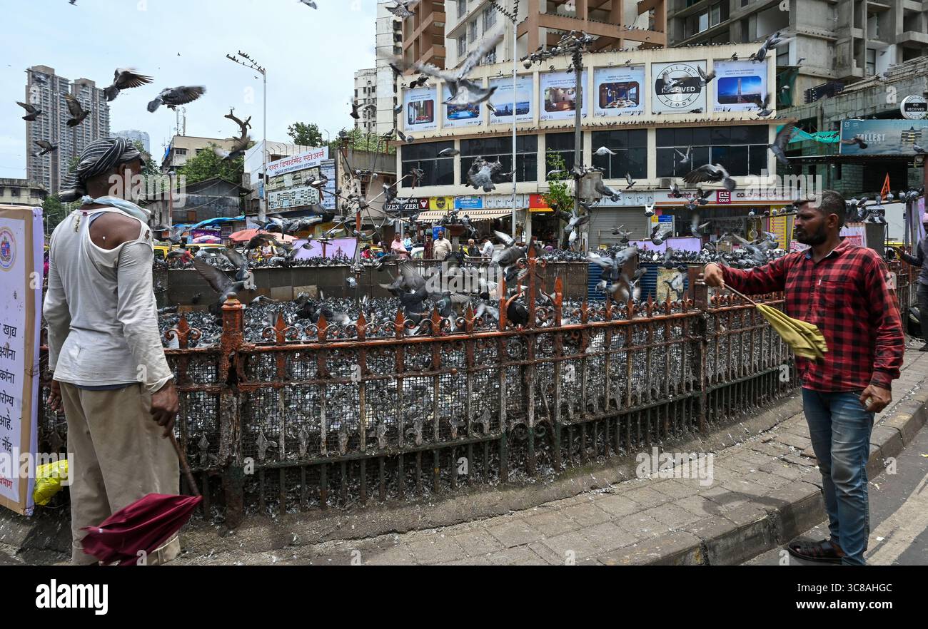 MUMBAI, INDIA - AUGUST 2: Dadar Kabutarkhana Trust hired four people to ...