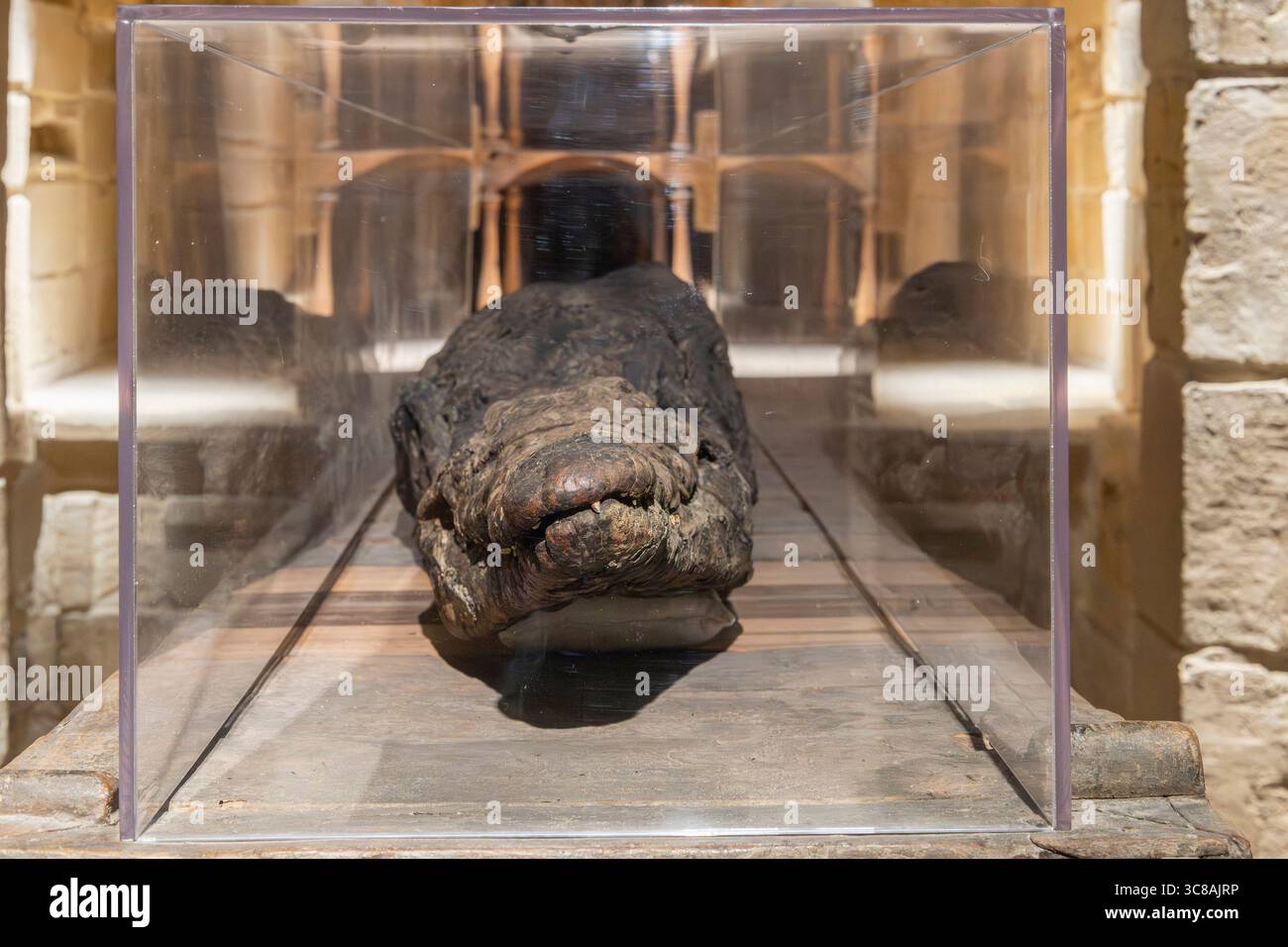 Greco-Roman Museum, crocodile mummy as God Sobek, temple of crocodile ...