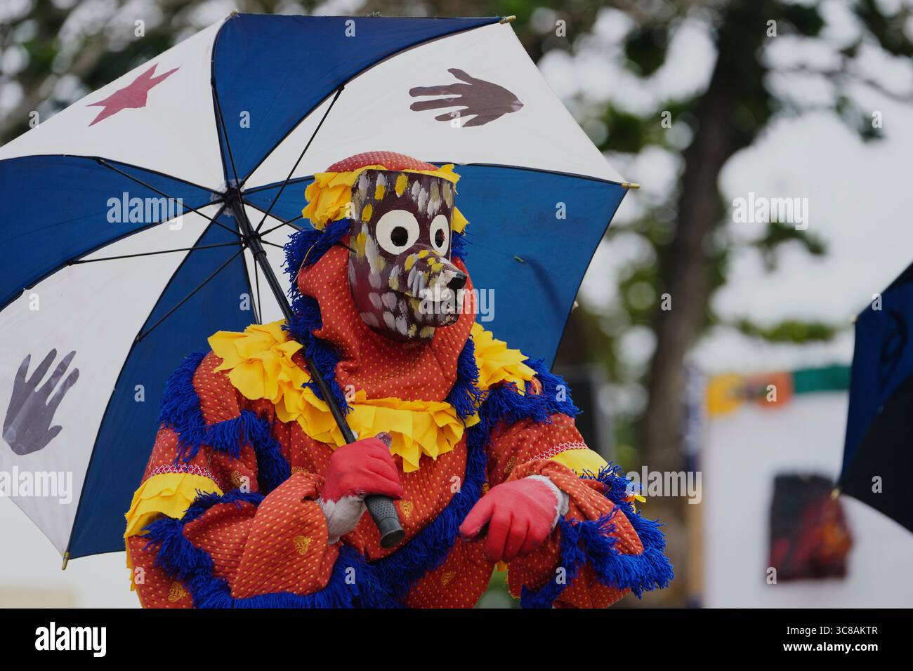A man dressed in a costume performs during the mask festival in Porto ...
