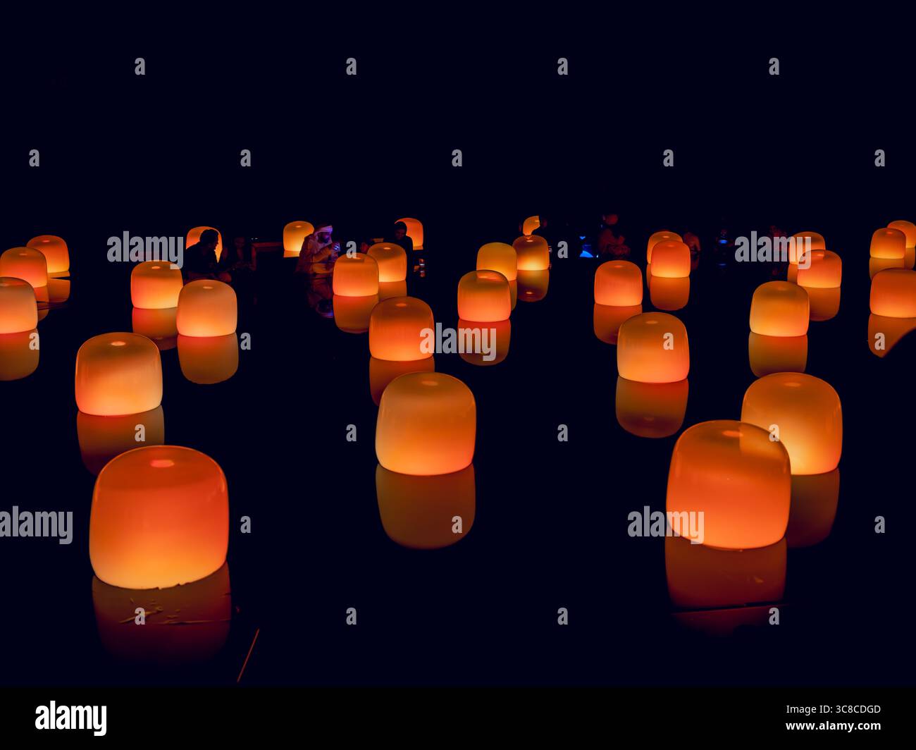 Teamlab phenomena,New tourism place in Abu Dhabi Teamlab phenomena 14 ...