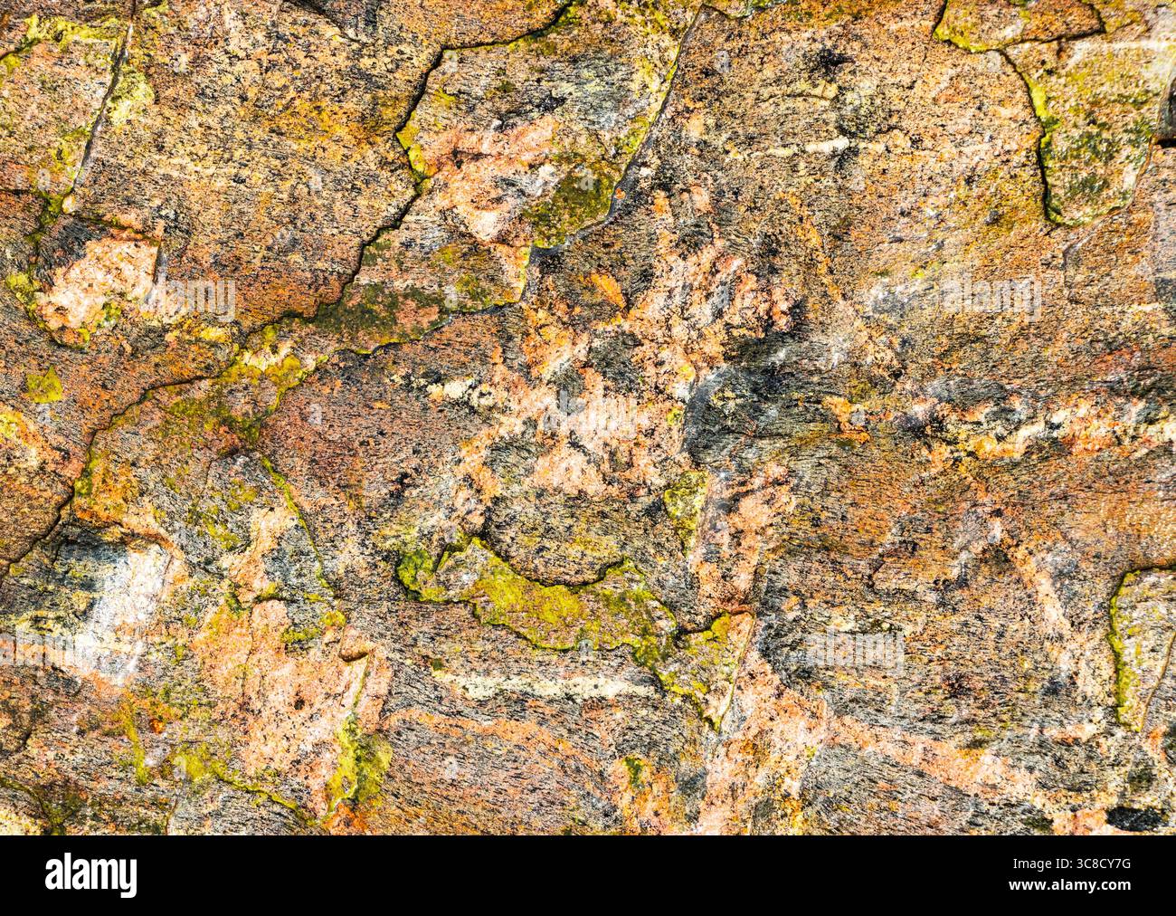 Highly metamorphosed Granite has been put under great heat and pressure ...