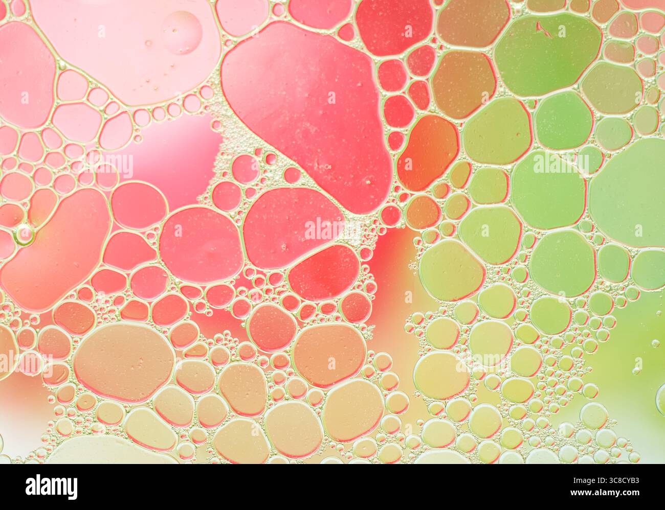 Macro shot of multicolored oil bubbles in water creating abstract ...