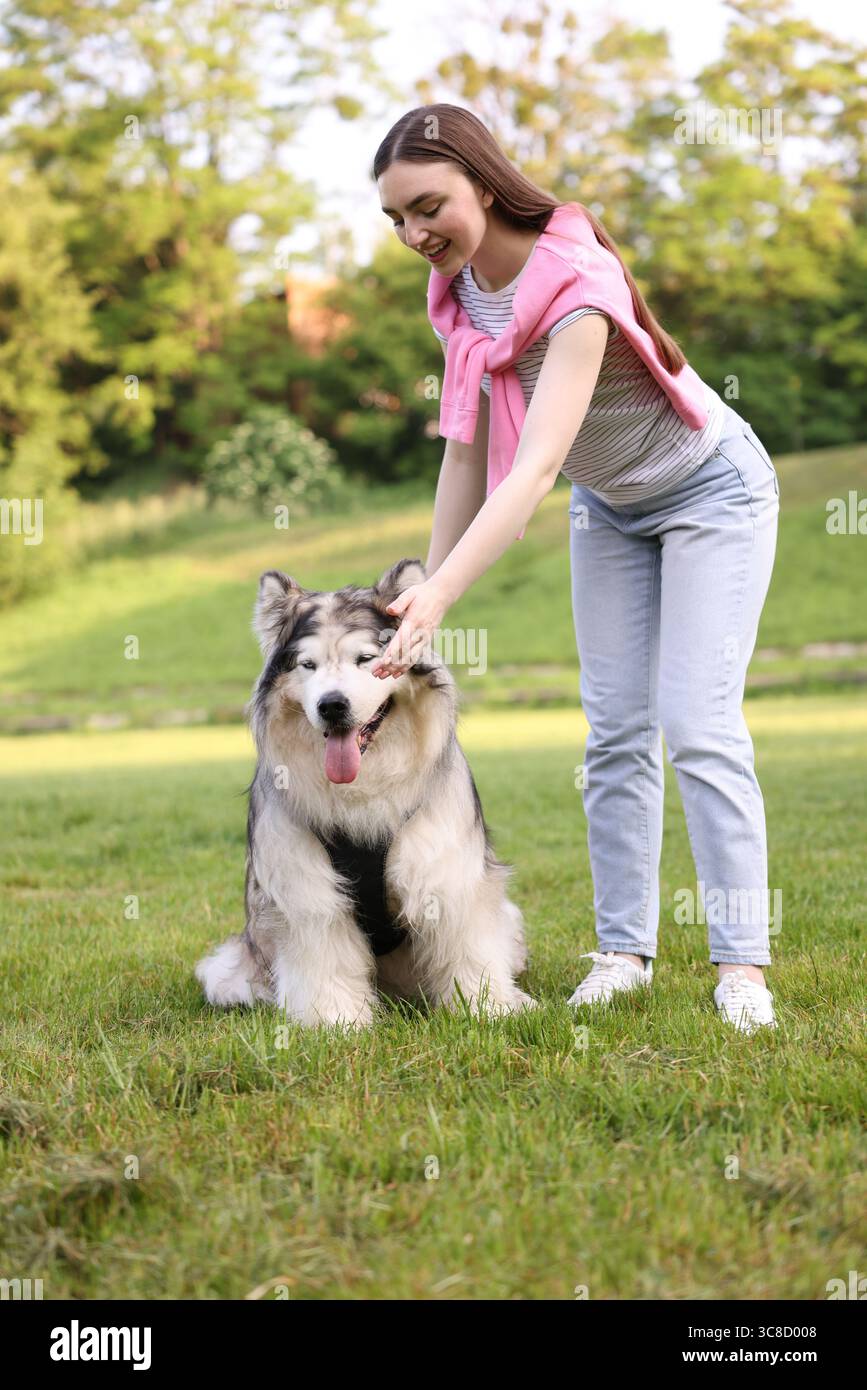 Smiling woman with her cute Alaskan malamute dog on green grass ...