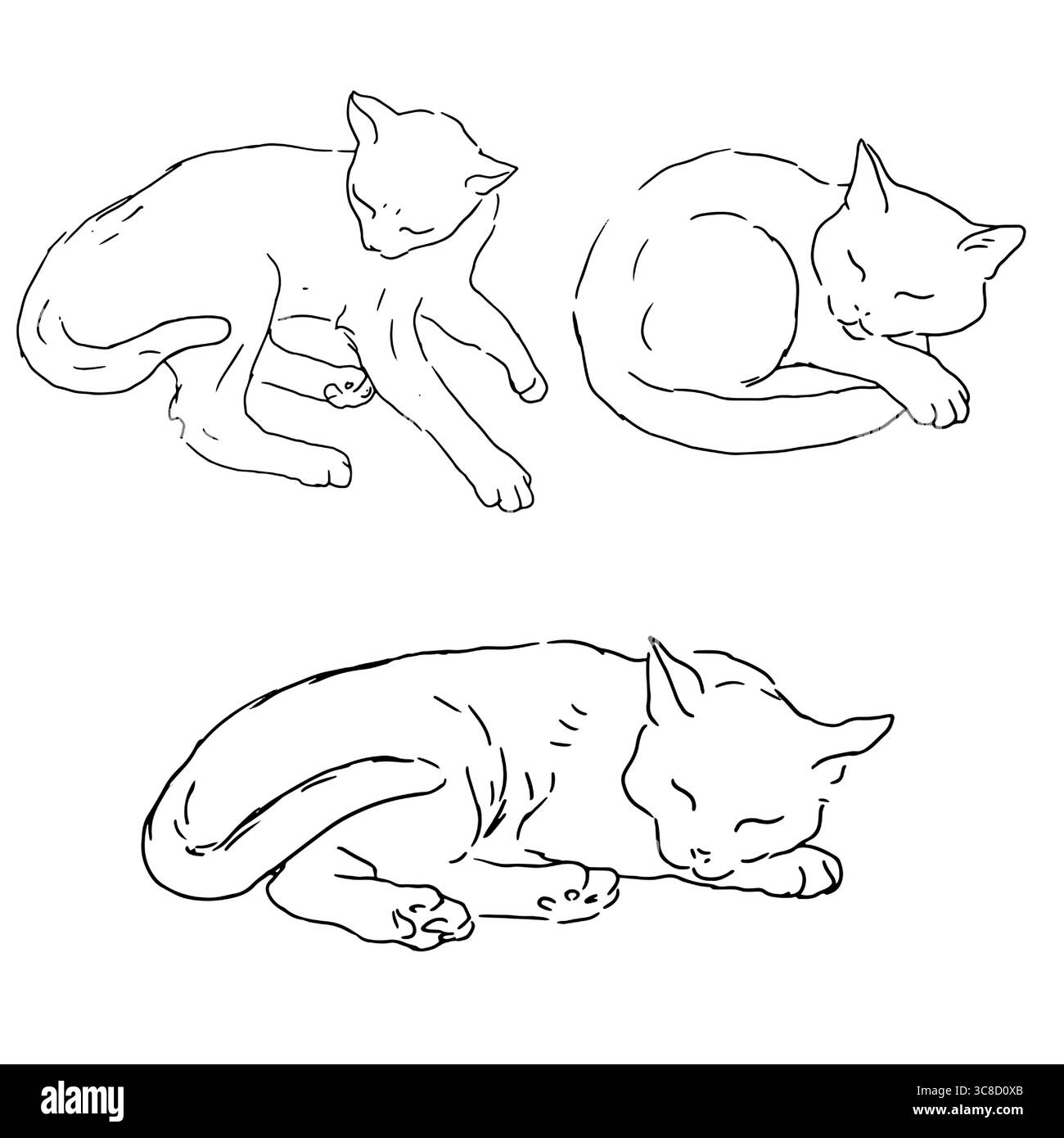 Cats in different poses, black and white ink sketch. Vector ...