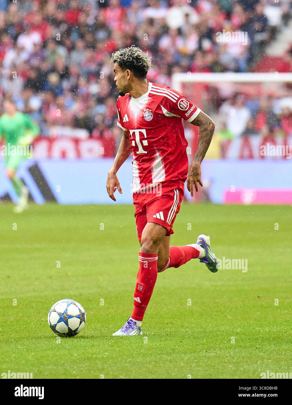Luis diaz fc bayern munich in action hi-res stock photography and ...