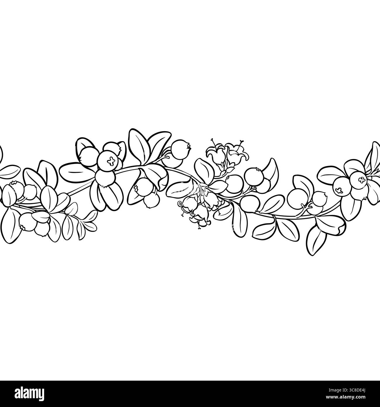 Cranberry Outline Horizontal Seamless Pattern Stock Vector Image & Art ...
