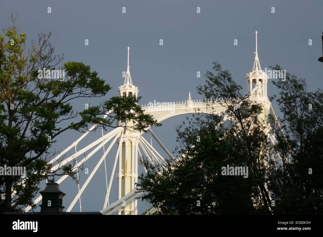 London, England 31st May 2025 Prince Albert Bridge on Cheyne Walk on ...
