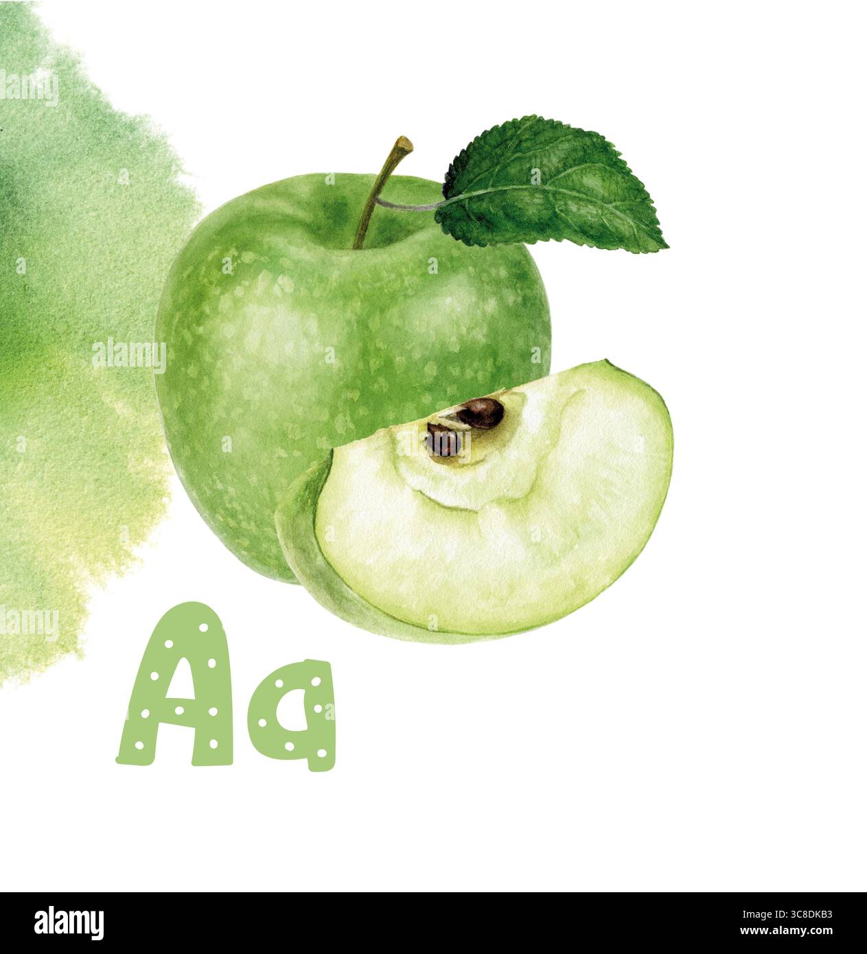 Watercolor Realistic Green Apple Illustration with Letter A, Fruits ...