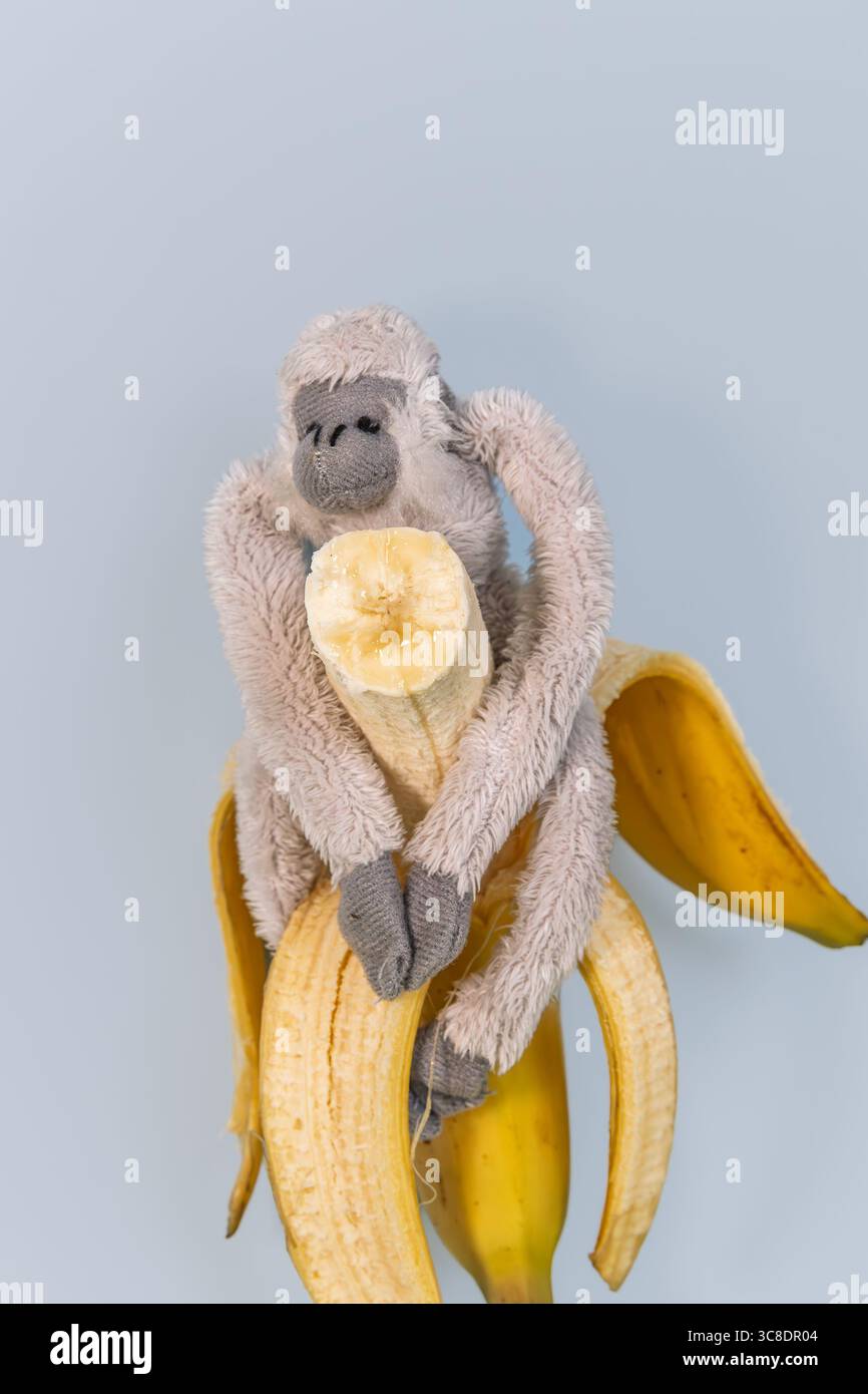 Monkey plush design hi-res stock photography and images - Alamy