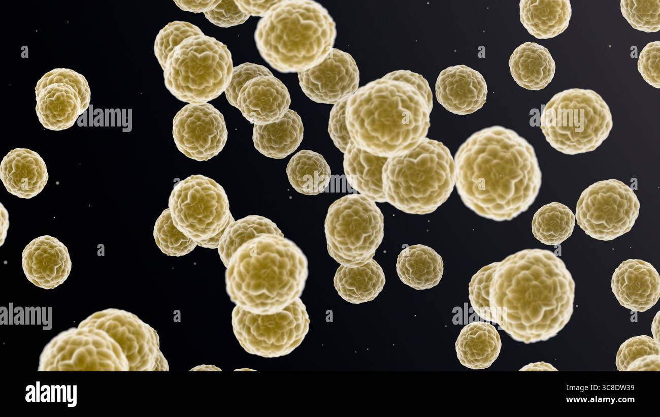 Human body cancer cells hi-res stock photography and images - Alamy