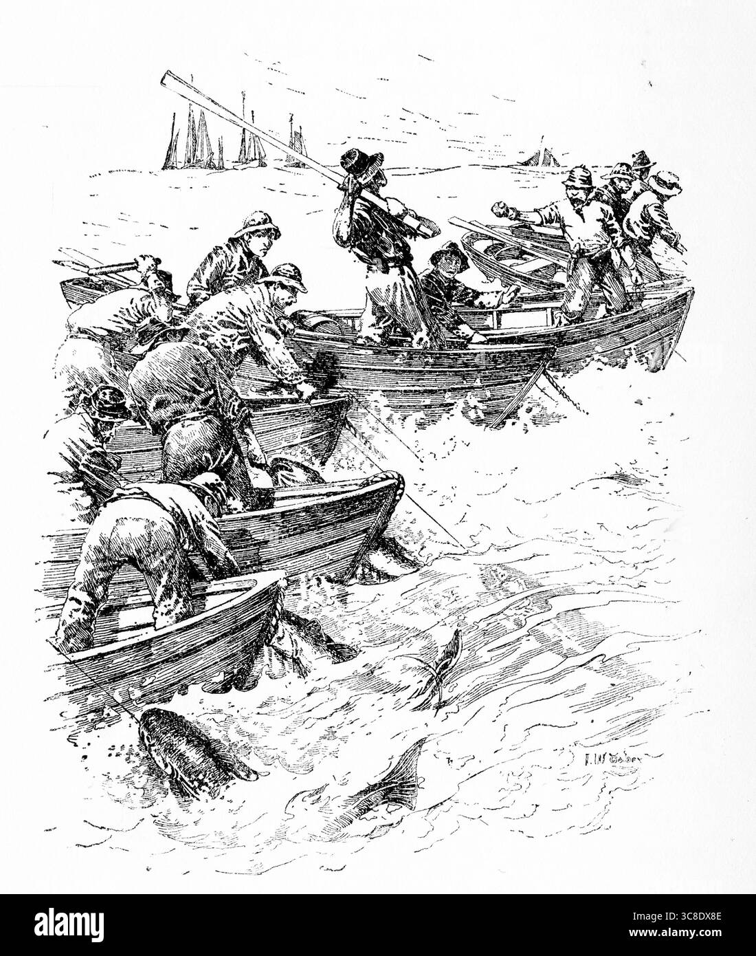 Fishermen from the We're Here bring in a huge catch of cod in a scene ...