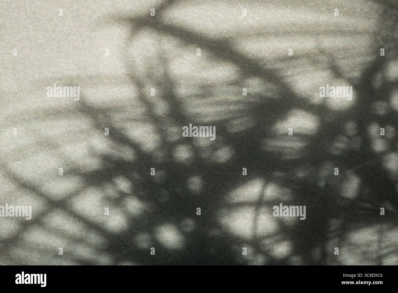 Foliage and leaf shadow background. Nature texture wallpaper Stock ...
