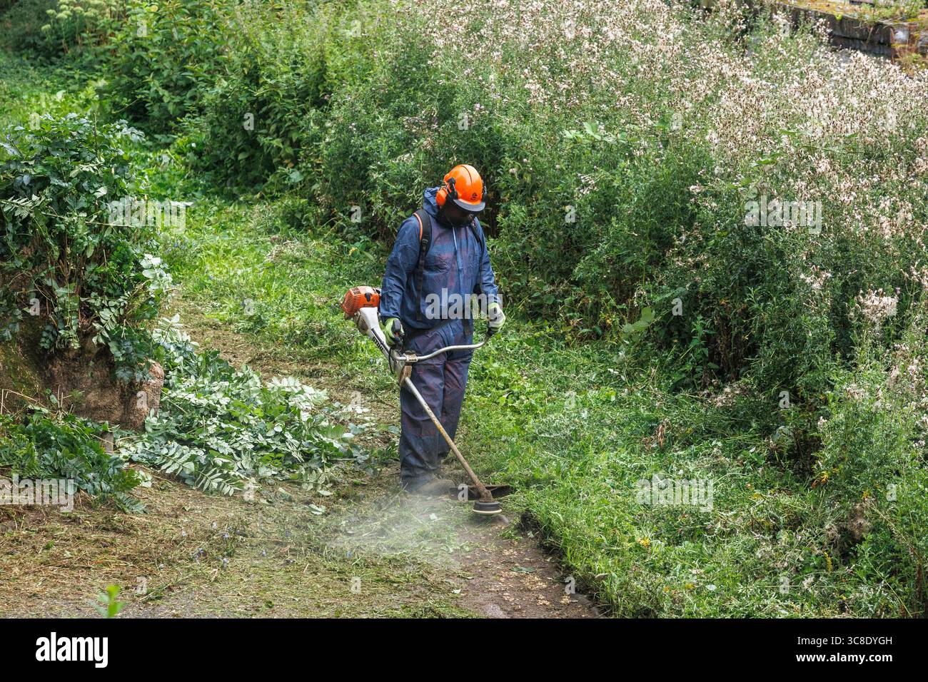 worker with a brushcutter in a public park in the city of Wetter, North ...