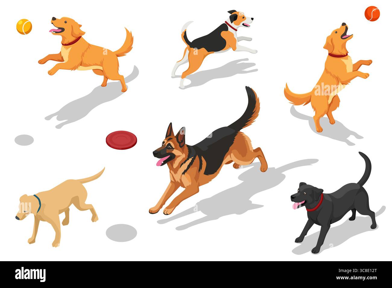 Isometric illustration of different dogs playing with ball and frisbee ...