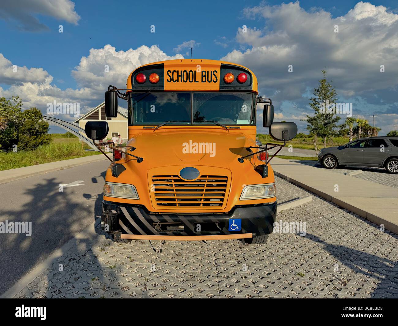 Typical American school bus in Florida, bright yellow with black ...