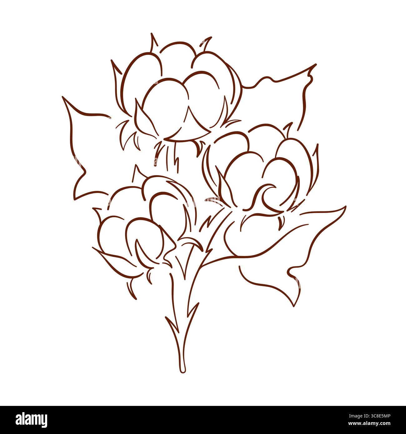 Line art style cotton plant branch with fluffy boll and leaf isolated ...