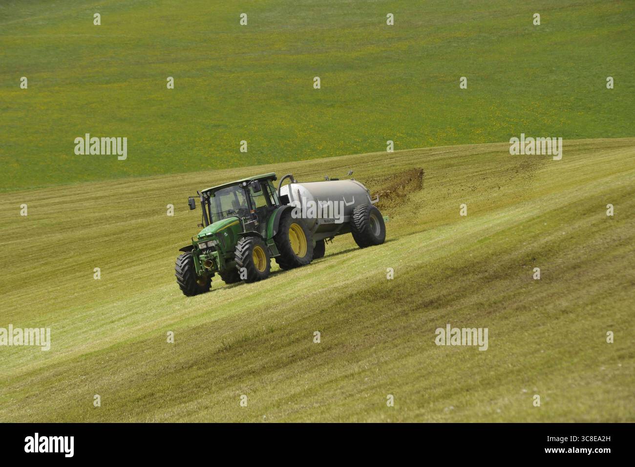 stable manure from animals as fertilizer in farming and livestock ...