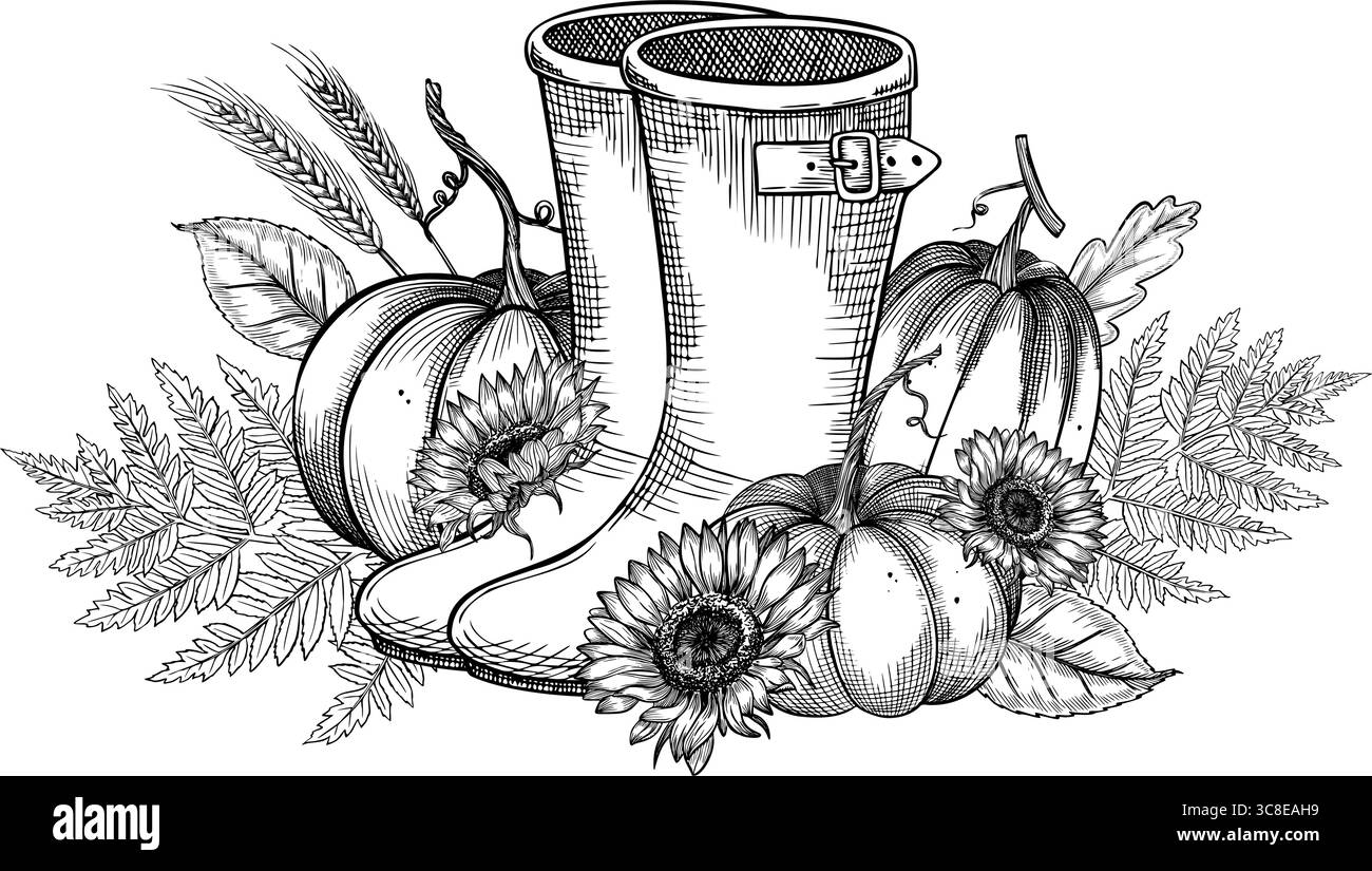 Vector autumn illustration with Pumpkins. Linear drawing of Sunflowers ...