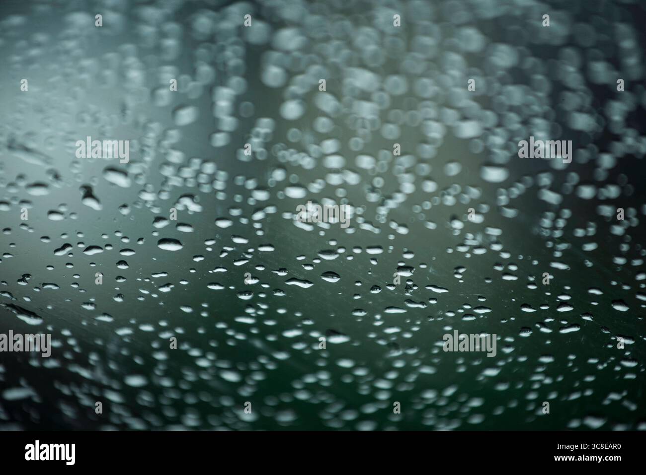 raindrops on a rainy day, wet and humid weather conditions raindrops on ...