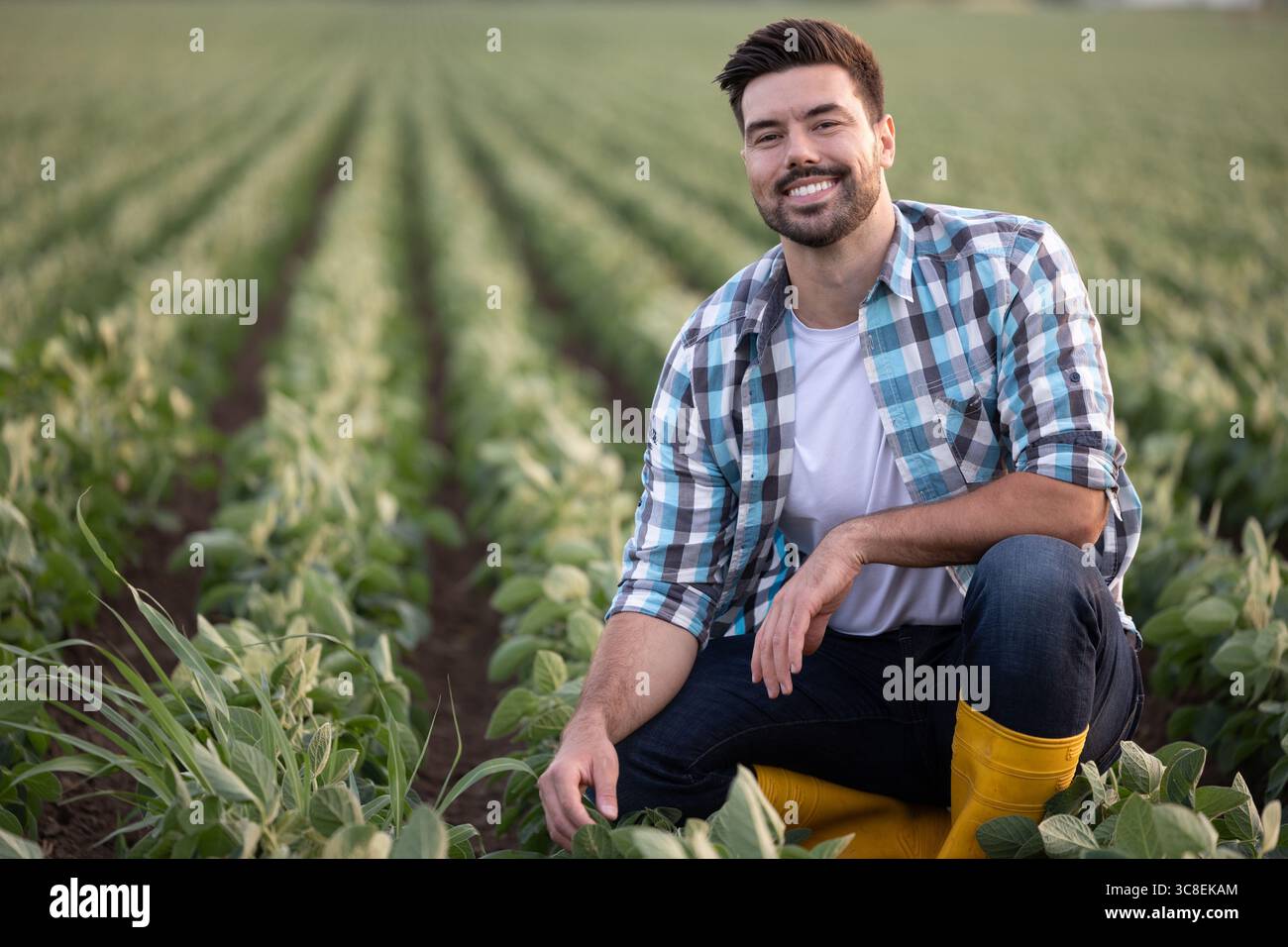 Farmer kneels among rows of young soybean plants, wearing boots and a ...