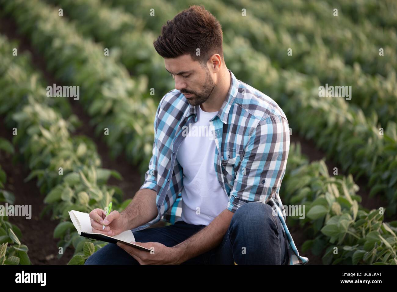 Farmer kneels among rows of young soybean plants, wearing boots and a ...