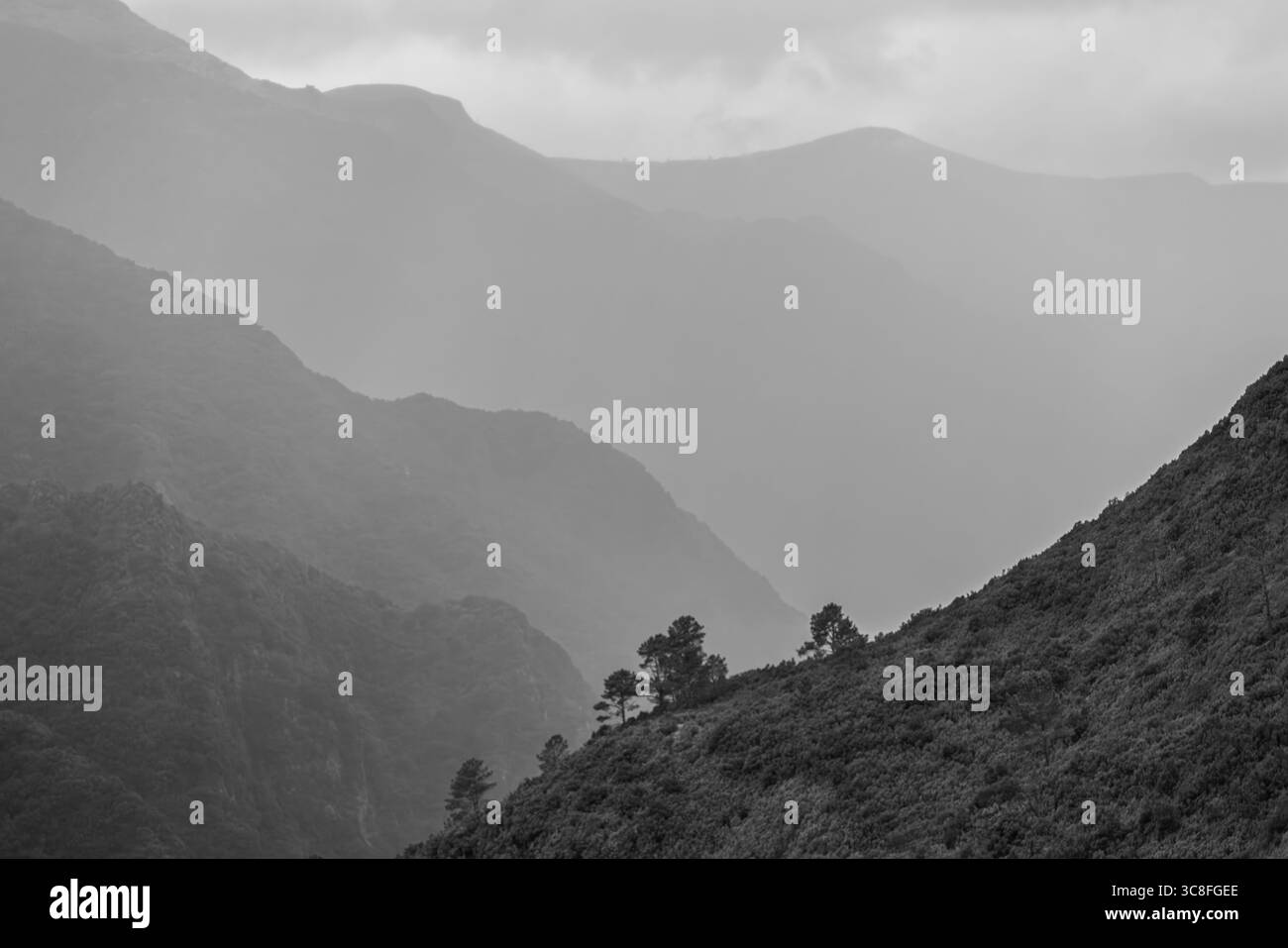 Serene depth Black and White Stock Photos & Images - Alamy