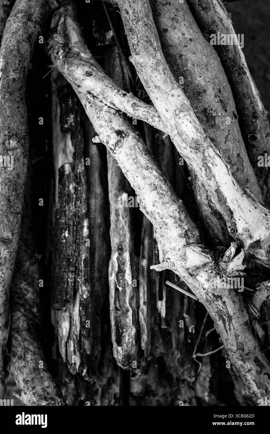 Intricate black lines form Black and White Stock Photos & Images - Alamy