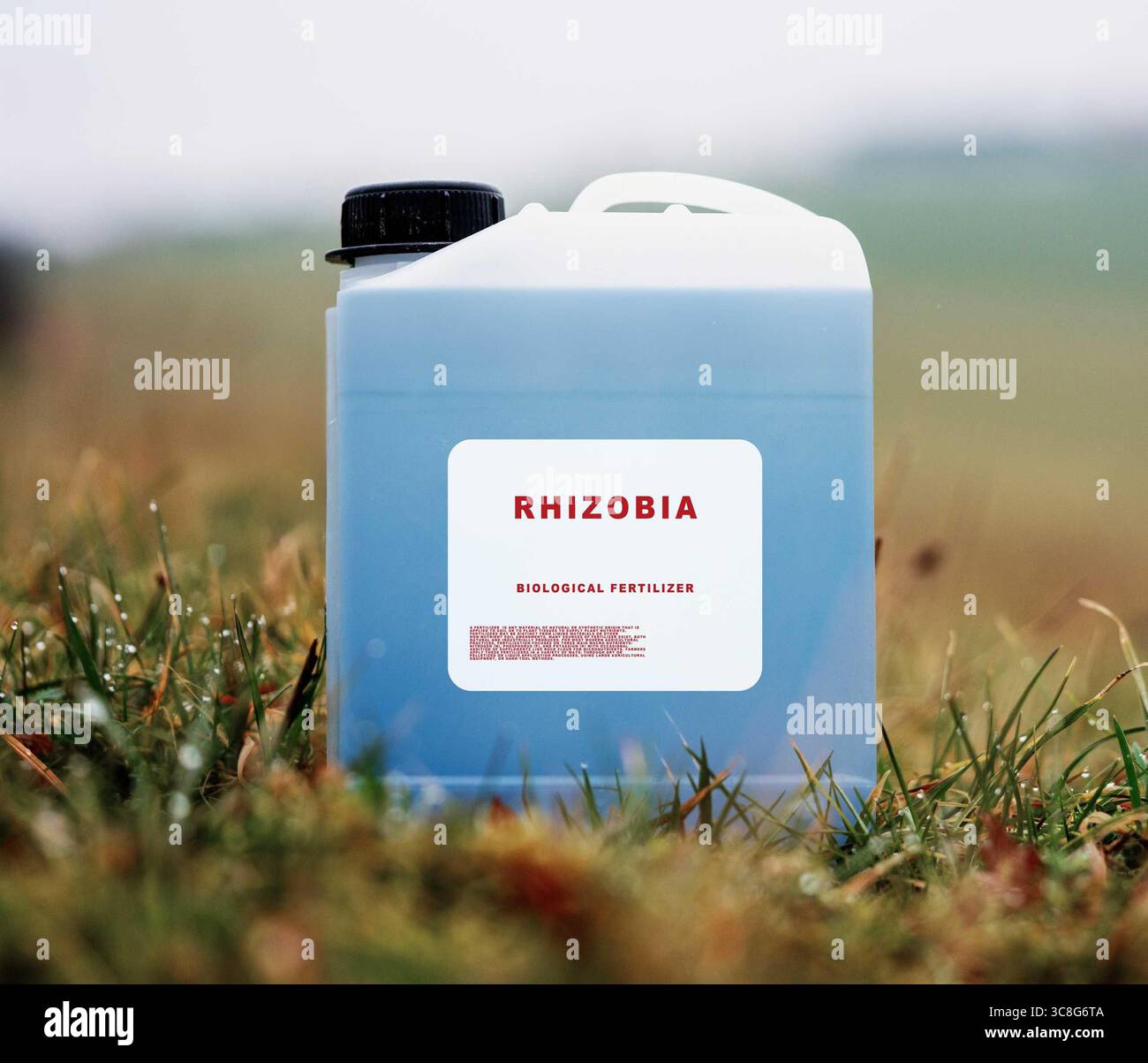 Nitrogen fix plant hi-res stock photography and images - Alamy