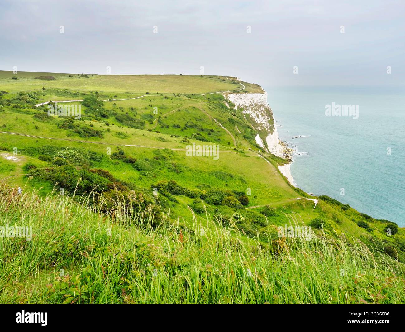 The White Cliffs of Dover at Langdon Hole near Dover Kent England Stock ...