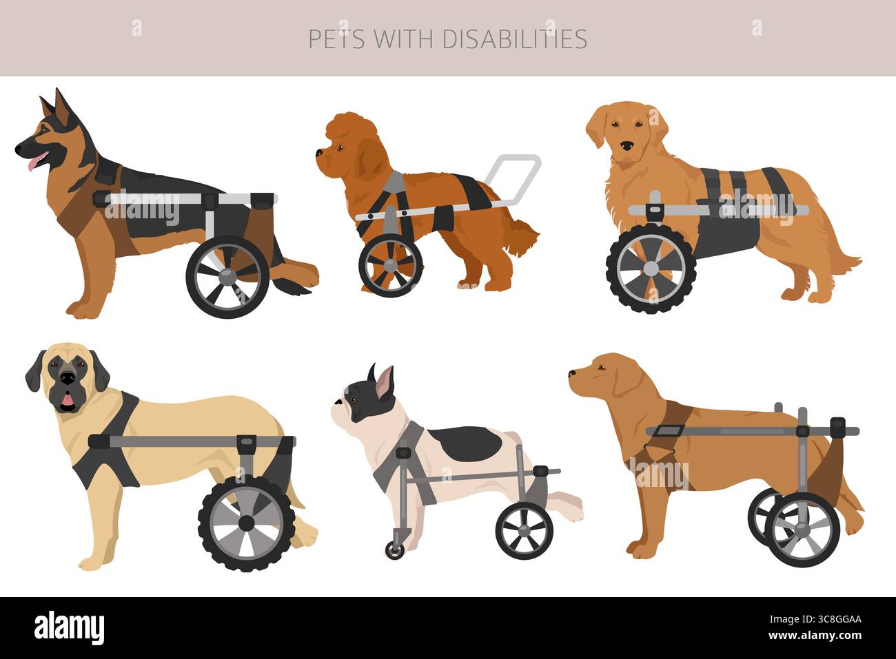 Disabled dog clipart. Prosthesis dogs, wheelchairs, sling bags and ...